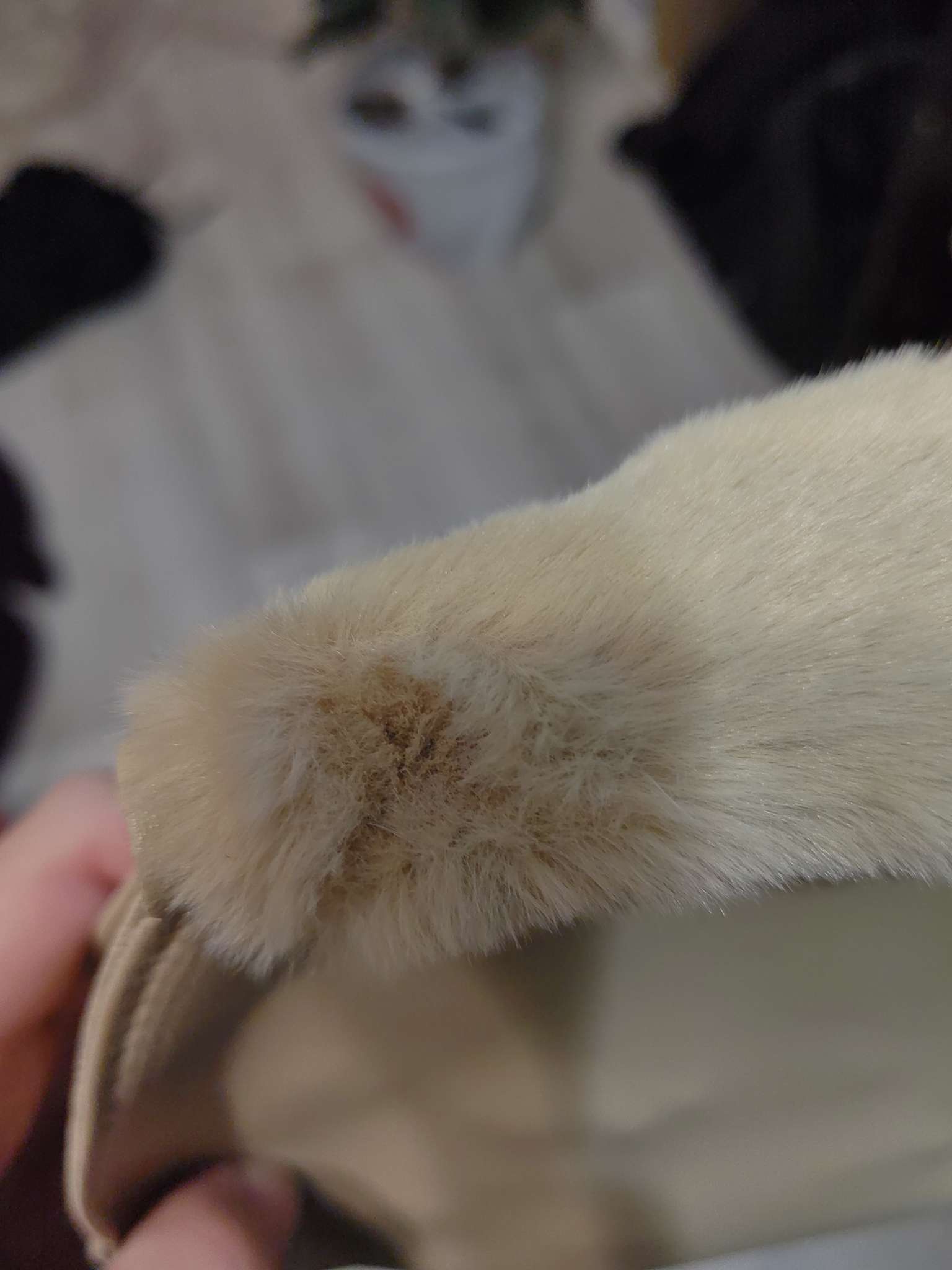 Сумка детская для девочки на застёжке, бежевая (9653928) - Купить по ...